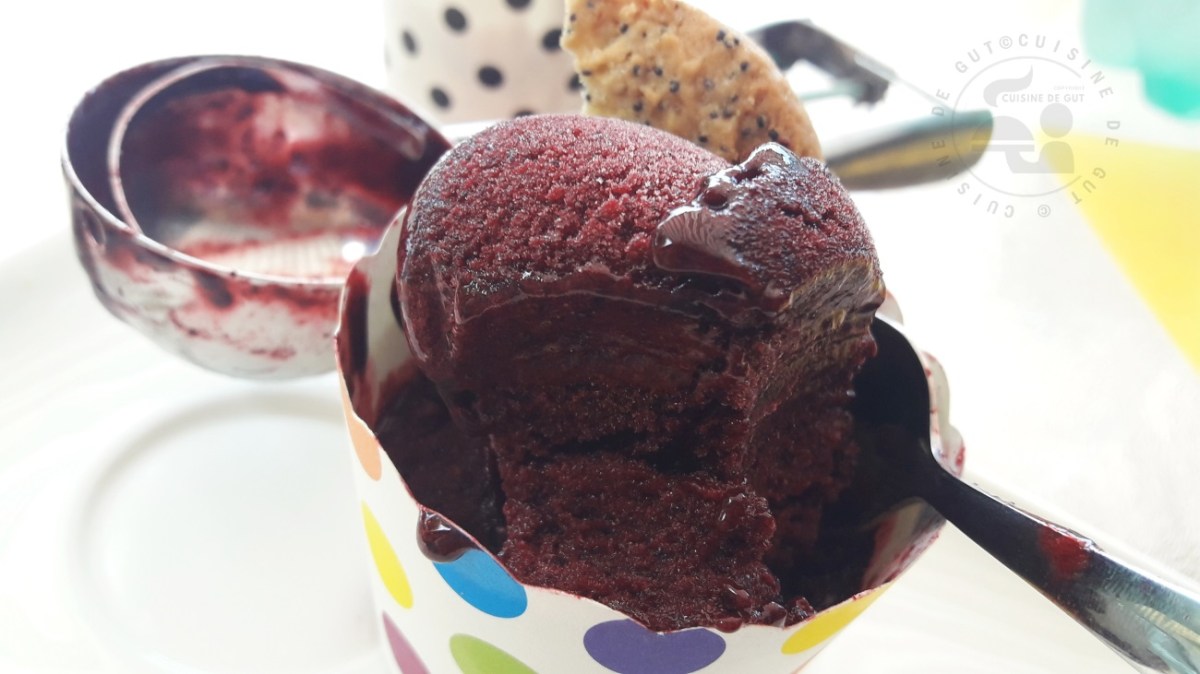 Sorbet myrtilles et fruits rouges – CUISINE DE GUT