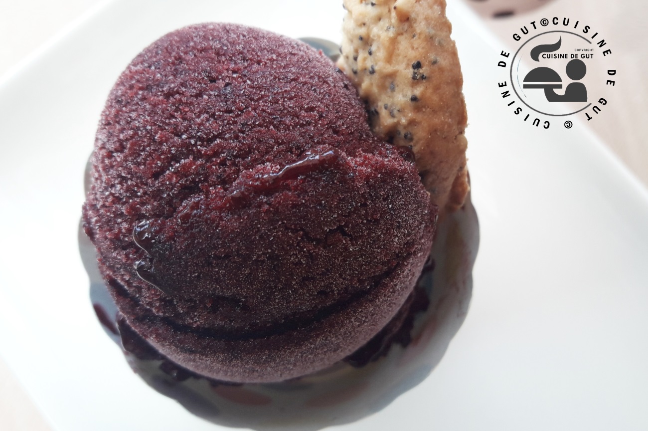 Sorbet myrtilles et fruits rouges – CUISINE DE GUT