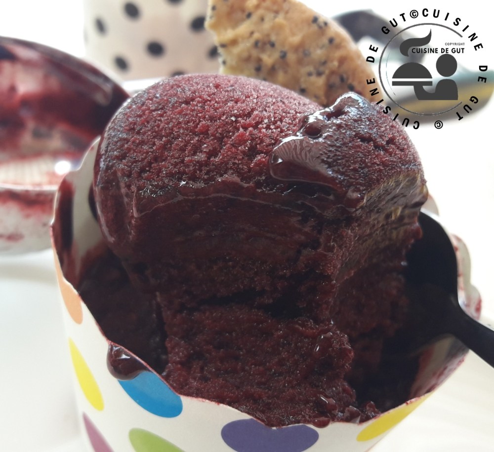 Sorbet myrtilles et fruits rouges – CUISINE DE GUT