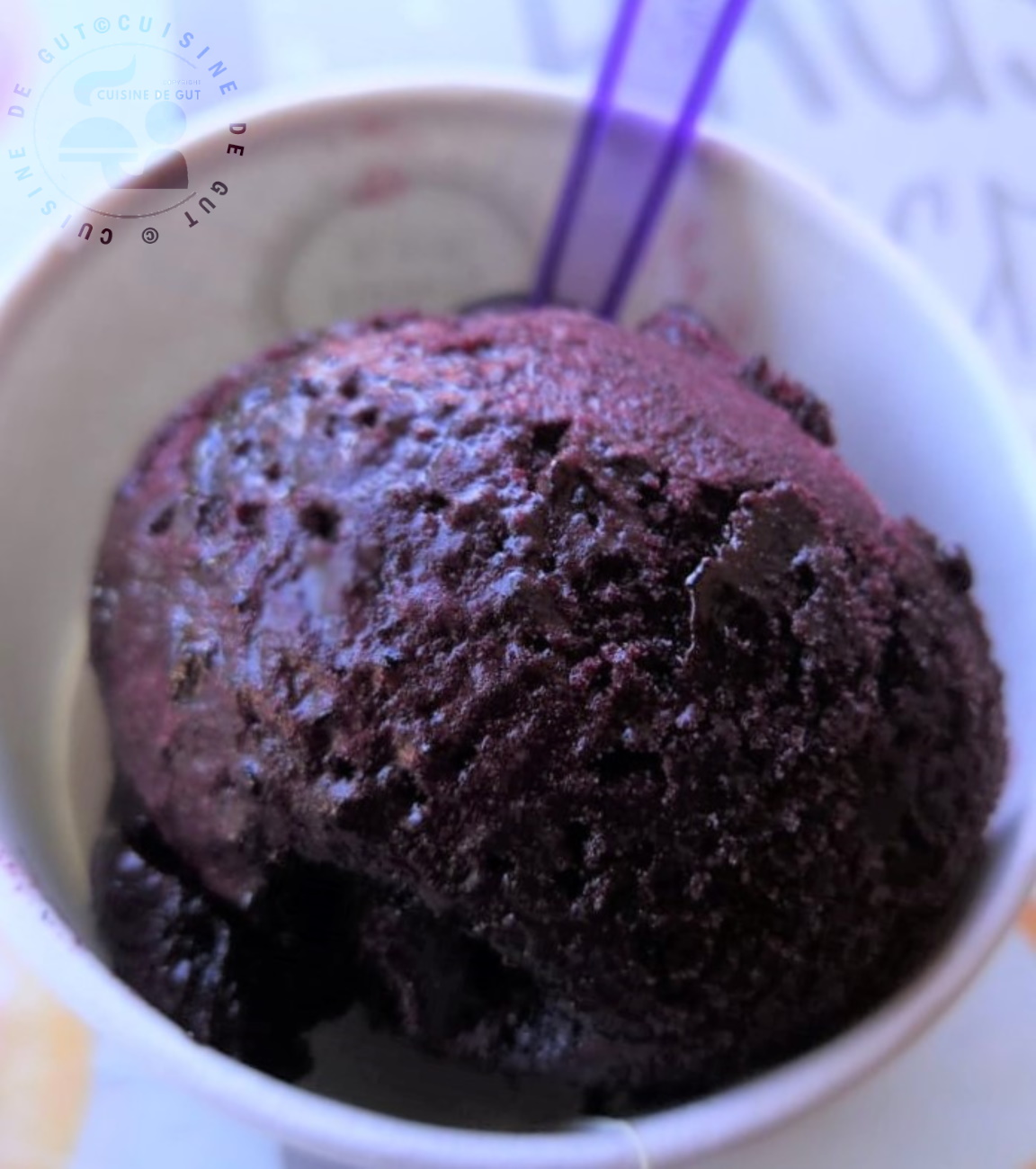 Sorbet aux myrtilles sauvages – CUISINE DE GUT