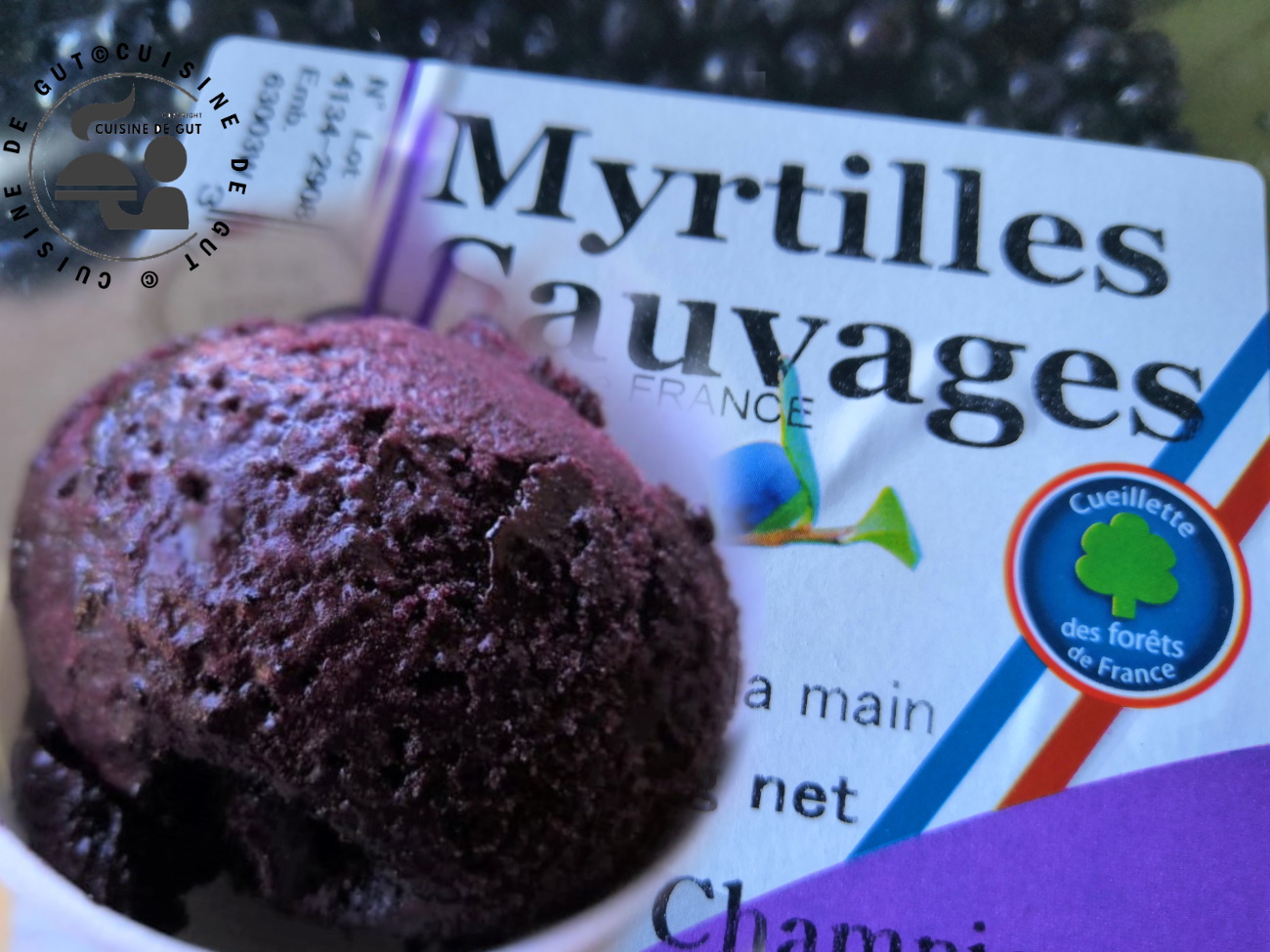 Sorbet aux myrtilles sauvages – CUISINE DE GUT